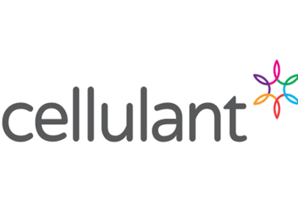 PAN African Payments Company Cellulant Acquires PSP License In Ghana ...