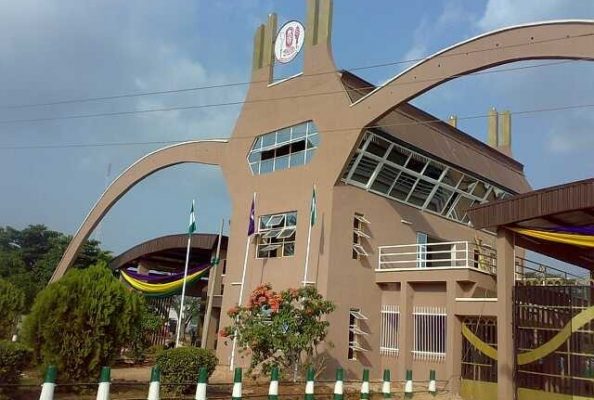 Novena University Gets NUC Approvals To Commence Medicine, Dentistry ...