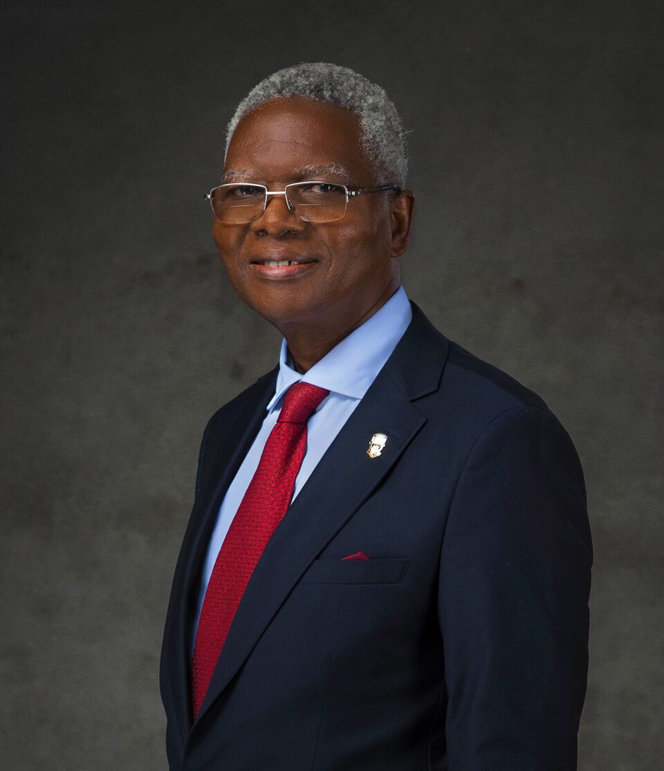 Nestlé Appoints Oyebode as Board Chairman as Ifezulike Retires - The ...